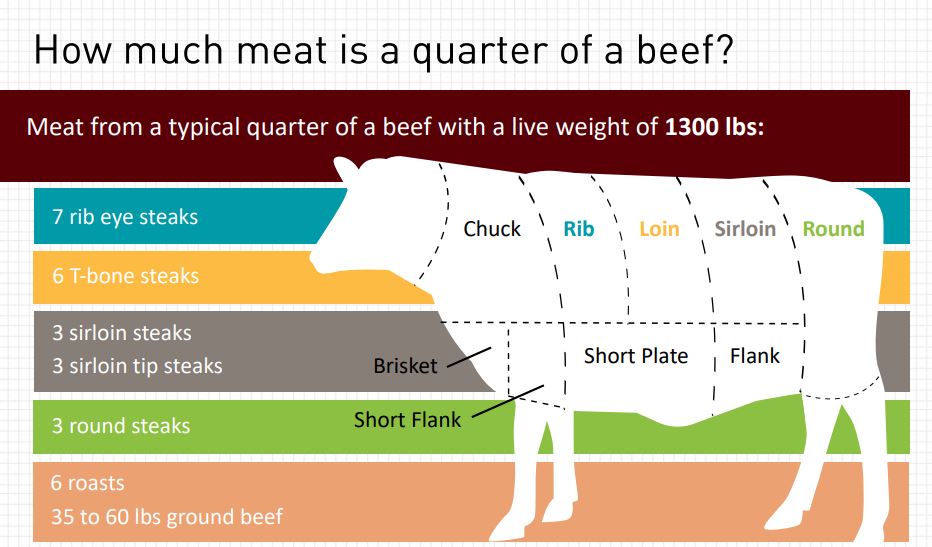 Buckeye Freezer Beef – Cut to Order and Sold by the Quarter